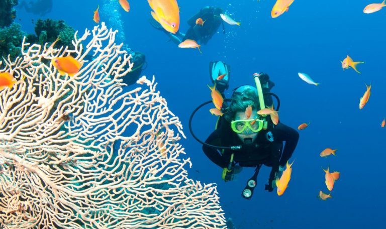 ATTREZZATURA PER IMMERSIONI SUBACQUEE: COME SCEGLIERE EROGATORI, GAV E ...